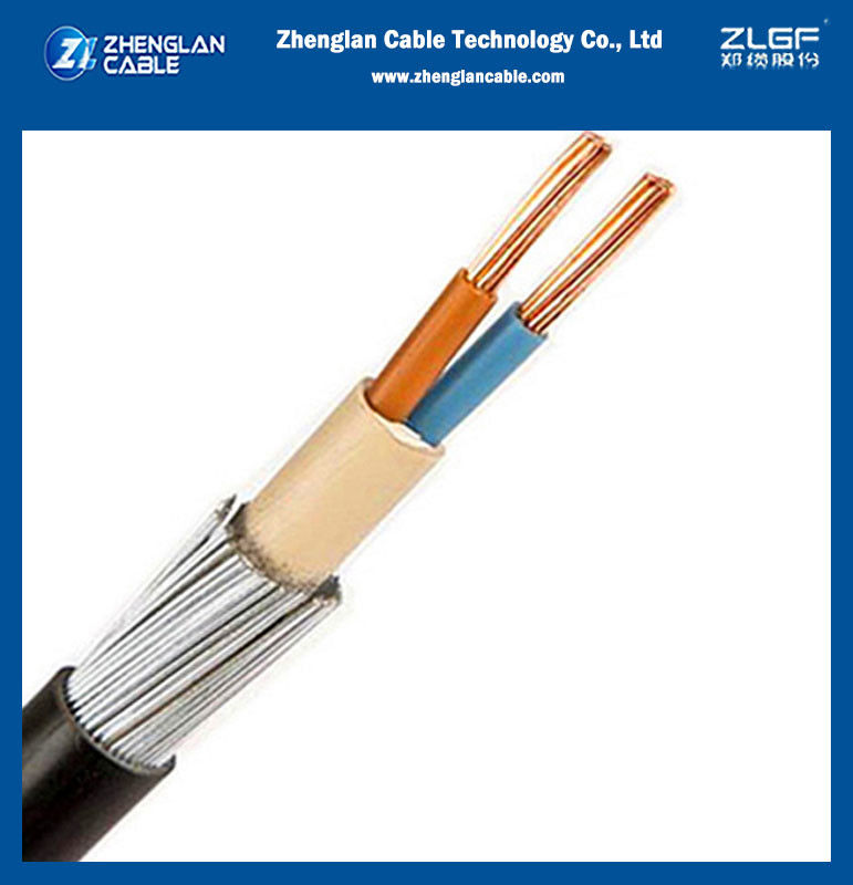 0.6/1kV 2 Core Armored Cable Copper BS5467 IEC/EN 60502-1, IEC/EN 60228 ...